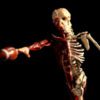 3D Anatomy-Écorché - Online Art Videos and Classes